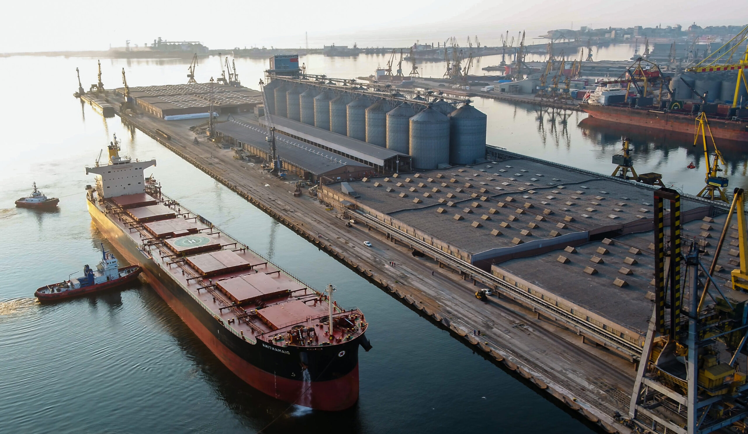 Chimpex sarbatoreste 50 de ani – VisualCre8 promo video – VisualCre8